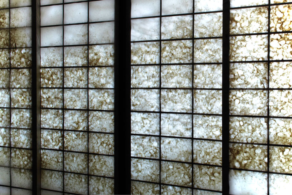 Washi for Window Treatment – Precious Pieces - Architectural Parchment ...